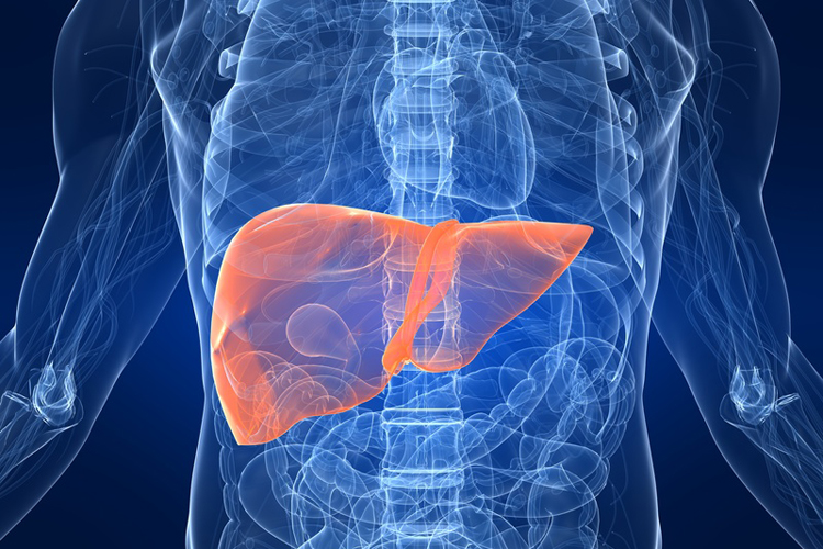 enfermedades-hepaticas - Torre Médica Metropolitana